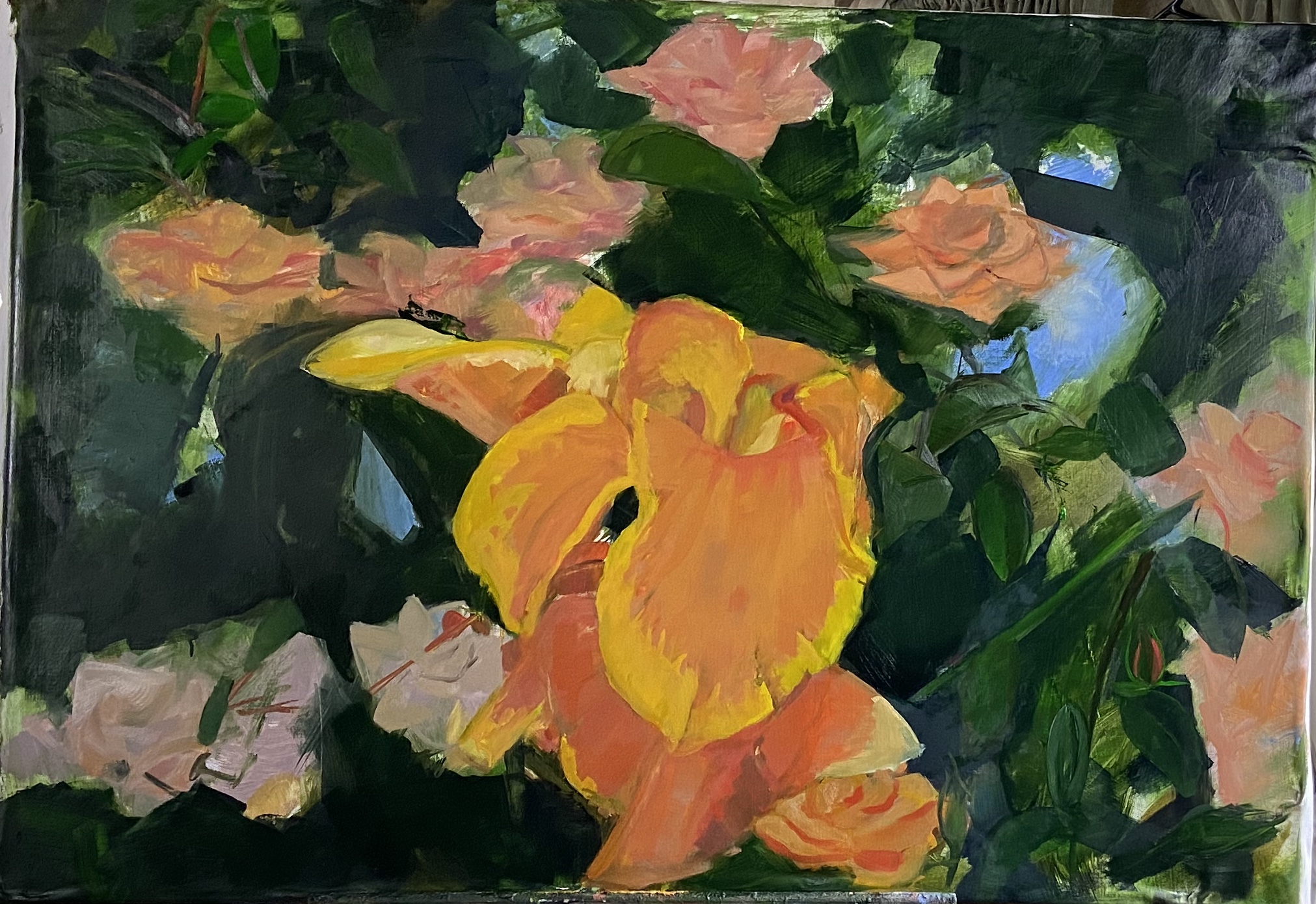 portraits of flowers | Barbara Fritsche